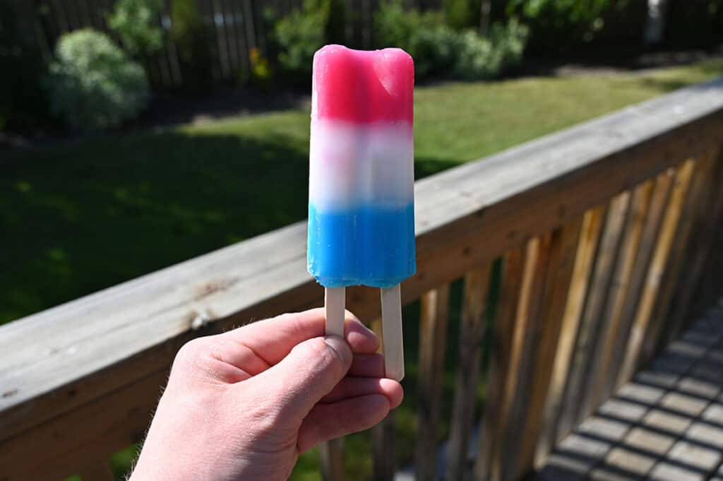 Costco Iceberg Fun Pack Review - Costcuisine