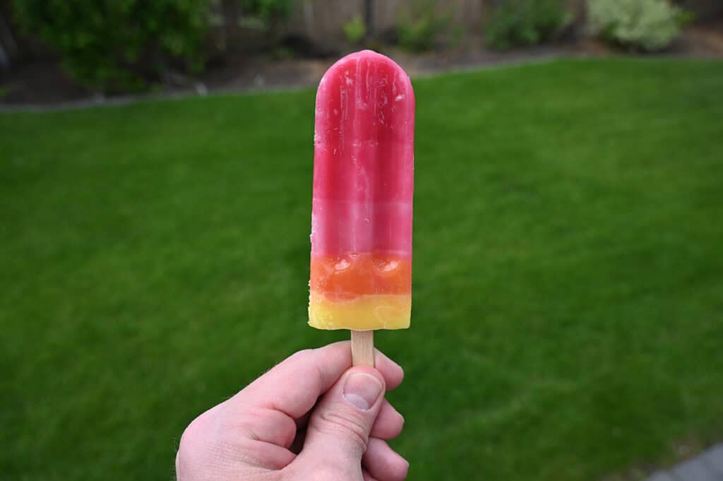 Costco Jonny Pops Review - Costcuisine