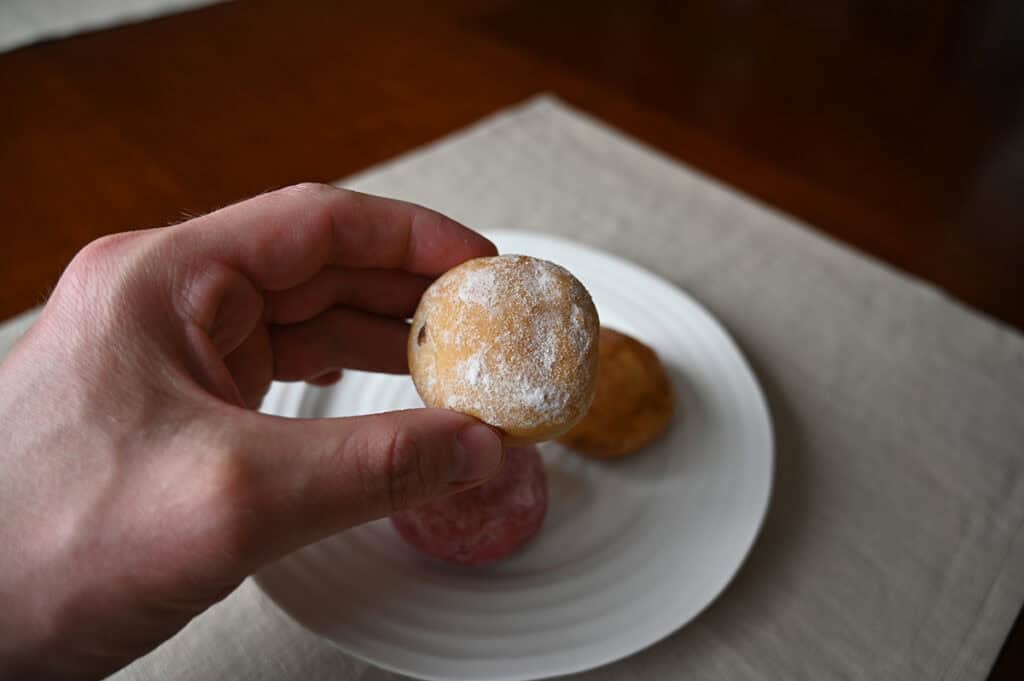Costco Kirkland Signature Variety Mini Donuts Review - Costcuisine